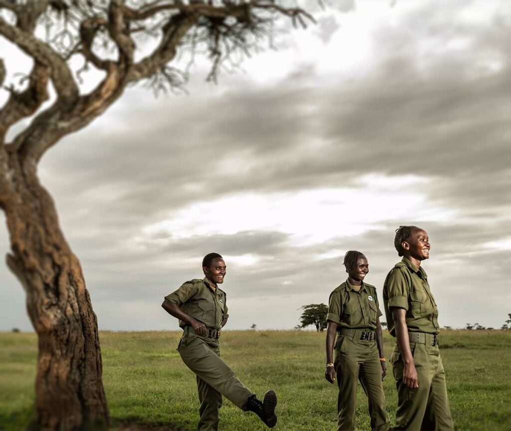 One Story Up, recent projects: High on the Hog, The Innocence Files...